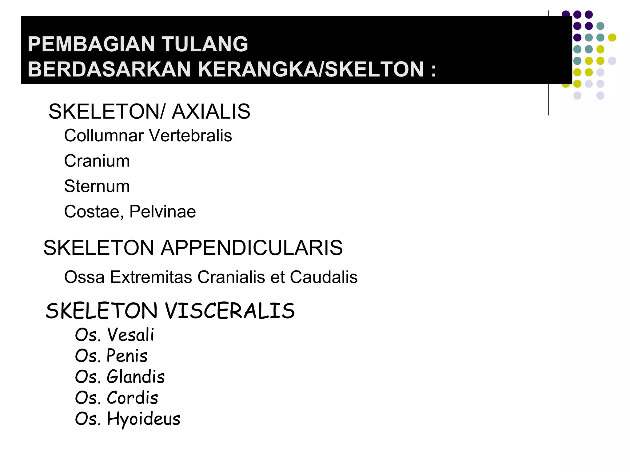 Pengantar Anatomi Veterinary 2 | PPT