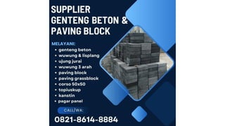 Paving Taman Minimalis untuk Tampilan yang Bersih dan Rapi | PPT