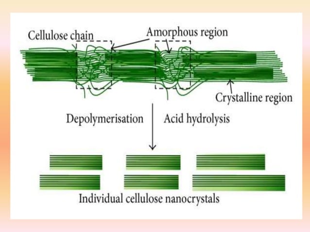 WOOD NANOCELLULOSE | PPT