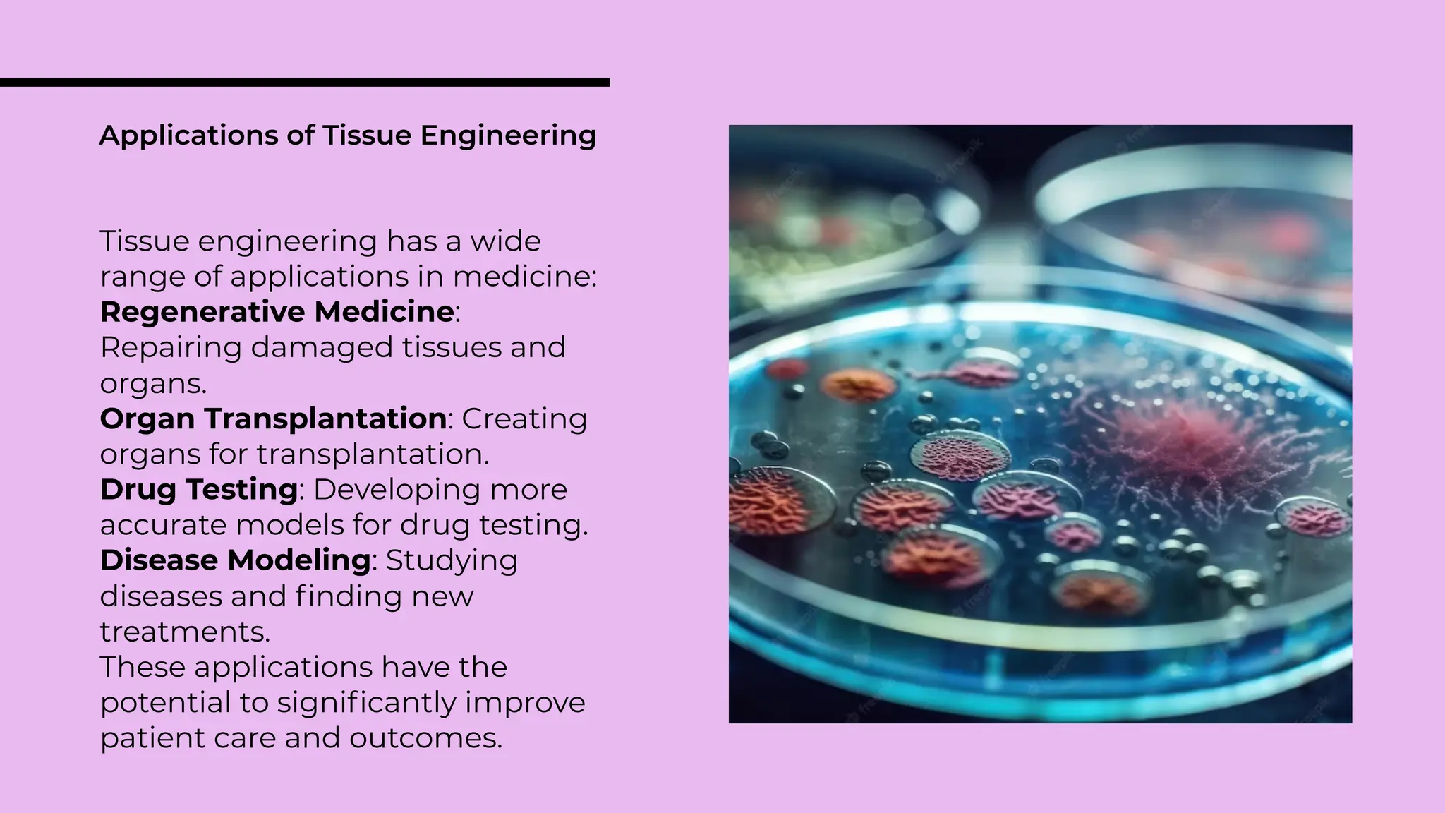 pavithira.m 20tj0034 tissue engineering ppt 1.pdf