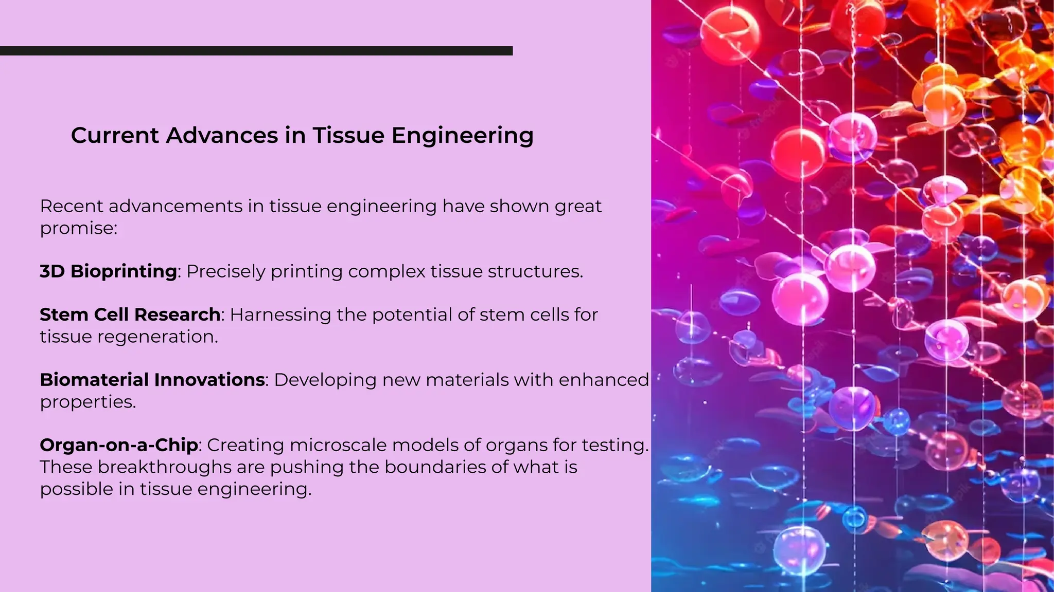 pavithira.m 20tj0034 tissue engineering ppt 1.pdf
