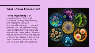 pavithira.m 20tj0034 tissue engineering ppt 1.pdf