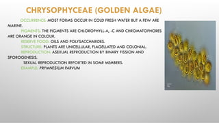 GENERAL MICROBIOLOGY AND MICROBIOAL DIVERSITY- ALGAE | PPT