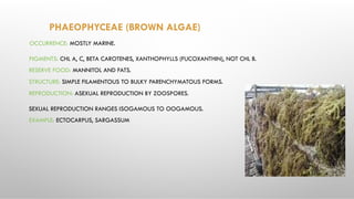 GENERAL MICROBIOLOGY AND MICROBIOAL DIVERSITY- ALGAE | PPT