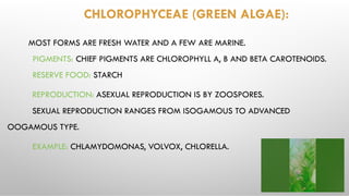 GENERAL MICROBIOLOGY AND MICROBIOAL DIVERSITY- ALGAE | PPT