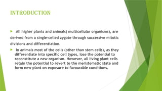 PAVITHRA - PLANT MORPHOGENESIS AND REPRODUCTION SEMINAR.pptx