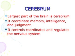 HUMAN BRAIN | PPT
