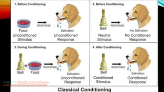 CLASSICAL CONDITIONING (PAVLOV/WATSON) | PPT