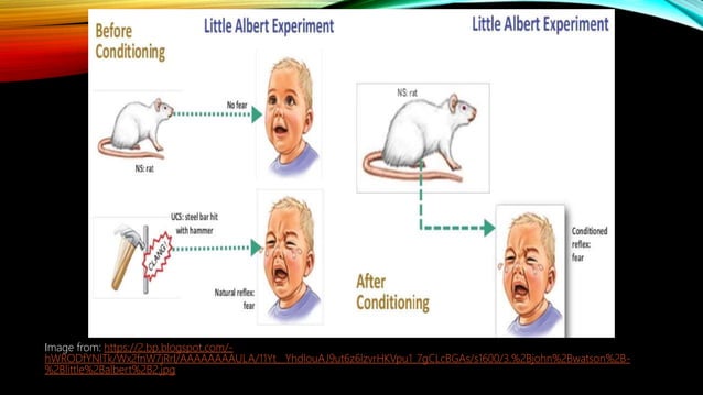 CLASSICAL CONDITIONING (PAVLOV/WATSON) | PPT