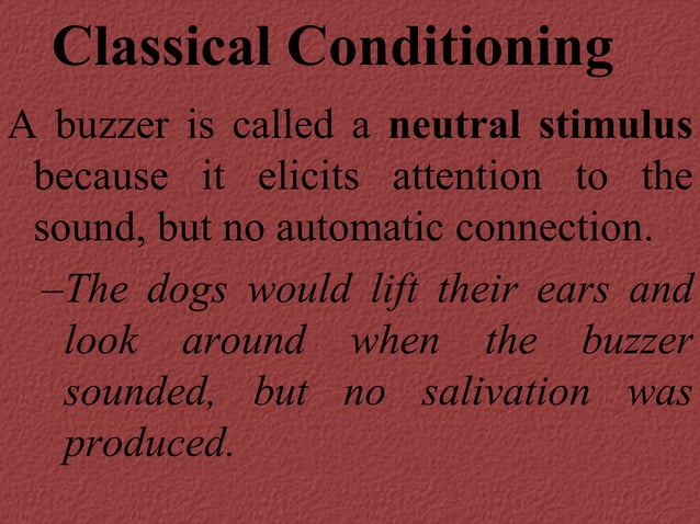 Pavlov Classical Conditioning.pdf