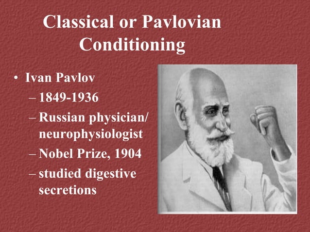 Pavlov Classical Conditioning.pdf