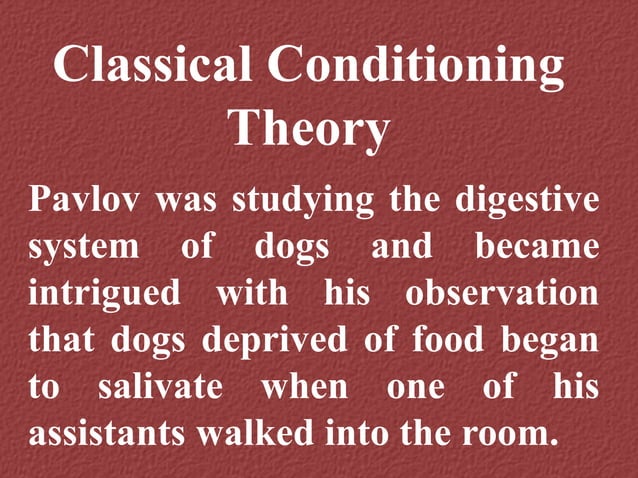 Pavlov Classical Conditioning.pdf
