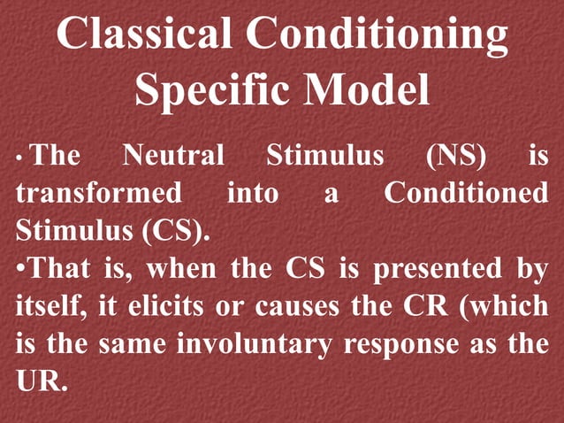Pavlov Classical Conditioning.pdf