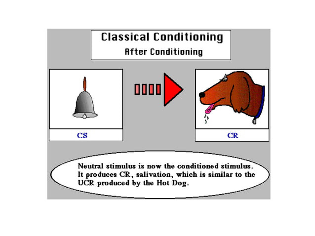 Pavlov Classical Conditioning.pdf Pavlov Classical Conditioning.pdf