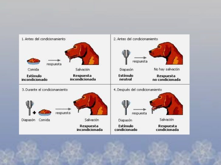 Conductismo: febrero 2016
