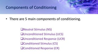 Pavlov's Classical Conditioning (Christine Carmen)_064503.pptx