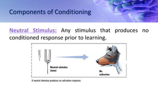 Pavlov's Classical Conditioning (Christine Carmen)_064503.pptx