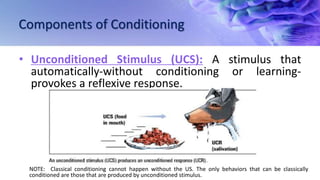 Pavlov's Classical Conditioning (Christine Carmen)_064503.pptx