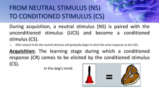 Pavlov's Classical Conditioning (Christine Carmen)_064503.pptx