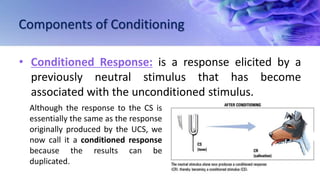 Pavlov's Classical Conditioning (Christine Carmen)_064503.pptx