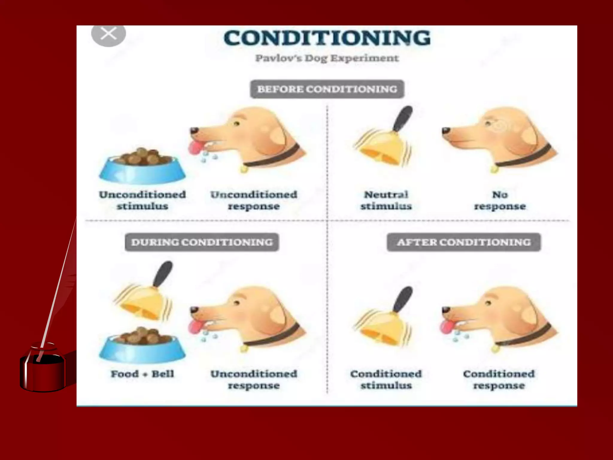 PAVLOV’S CLASSICAL CONDITIONING .pptx