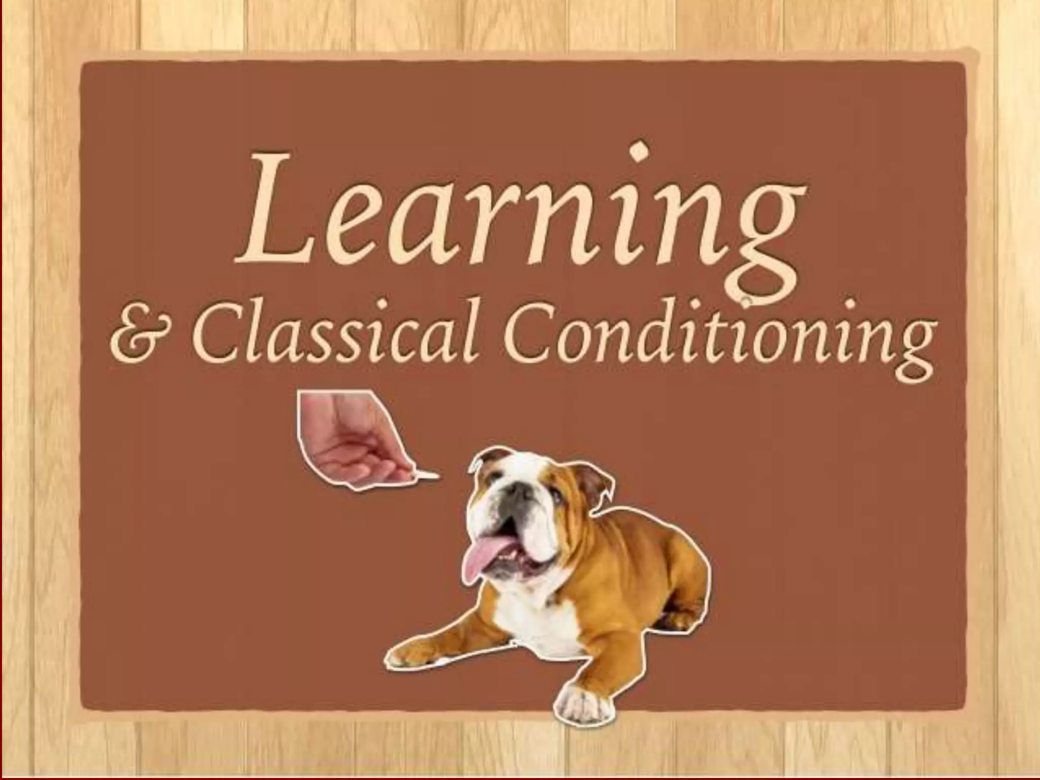 PAVLOV’S CLASSICAL CONDITIONING .pptx