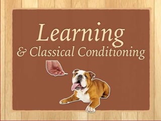 PAVLOV’S CLASSICAL CONDITIONING .pptx
