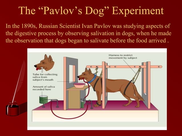 PAVLOV’S CLASSICAL CONDITIONING .pptx
