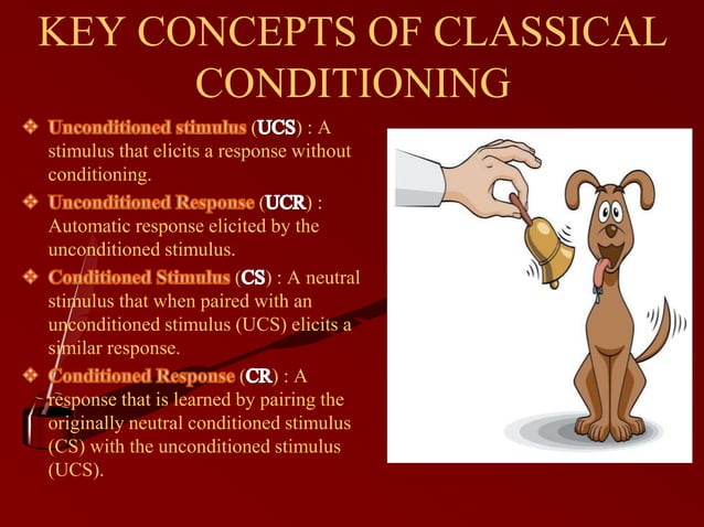 PAVLOV’S CLASSICAL CONDITIONING .pptx