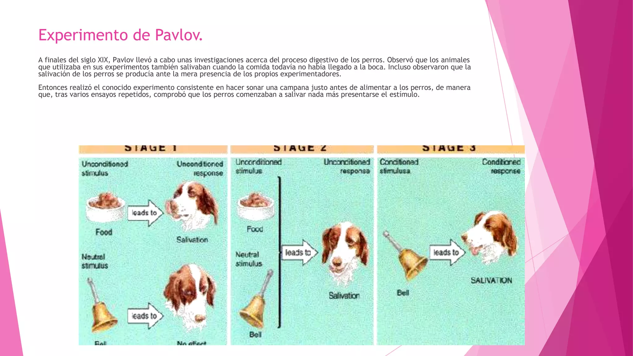Ivan Pavlov (Condicionamiento clásico) | PPTX