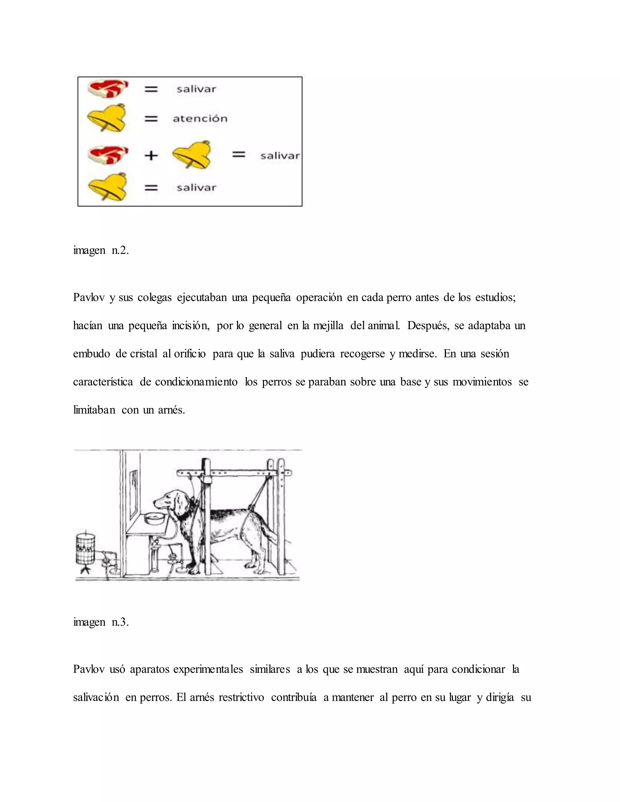 Pavlov y la teoría del condicionamiento clásico | DOCX