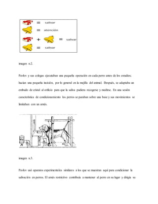 Pavlov y la teoría del condicionamiento clásico | DOCX