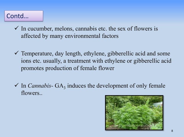 Sex Determination In Plants Pptx Reproductive Health Diseases And Conditions