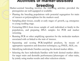 Marker Assisted Selection in Crop Breeding | PPTX