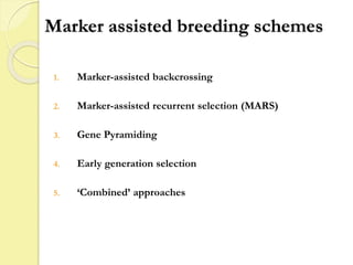 Marker Assisted Selection in Crop Breeding | PPTX