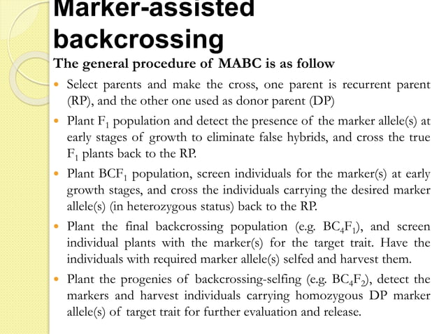 Marker Assisted Selection in Crop Breeding | PPTX