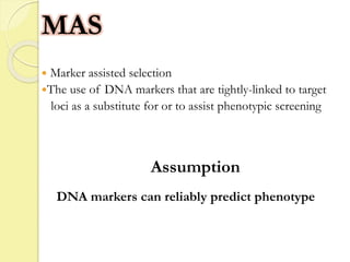Marker Assisted Selection in Crop Breeding | PPTX