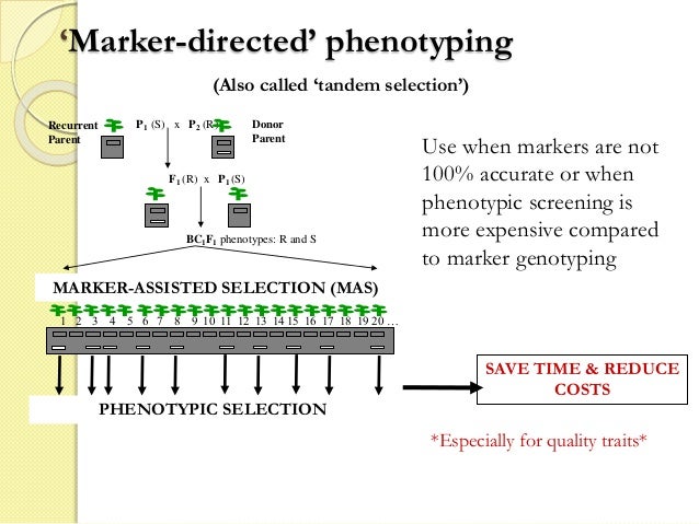 Negative Selection Markers