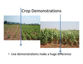 Adaptive sustainable agriculture in Climate Change Adaptation in ...