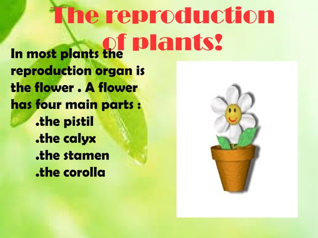 Living things reproduce | ODP | Infertility | Reproductive Health