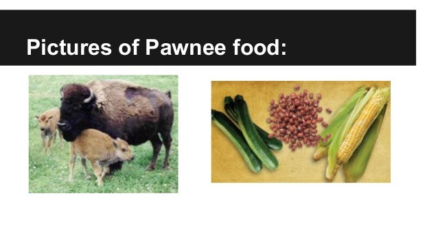 Pawnee by jeffrey, shane, and levi
