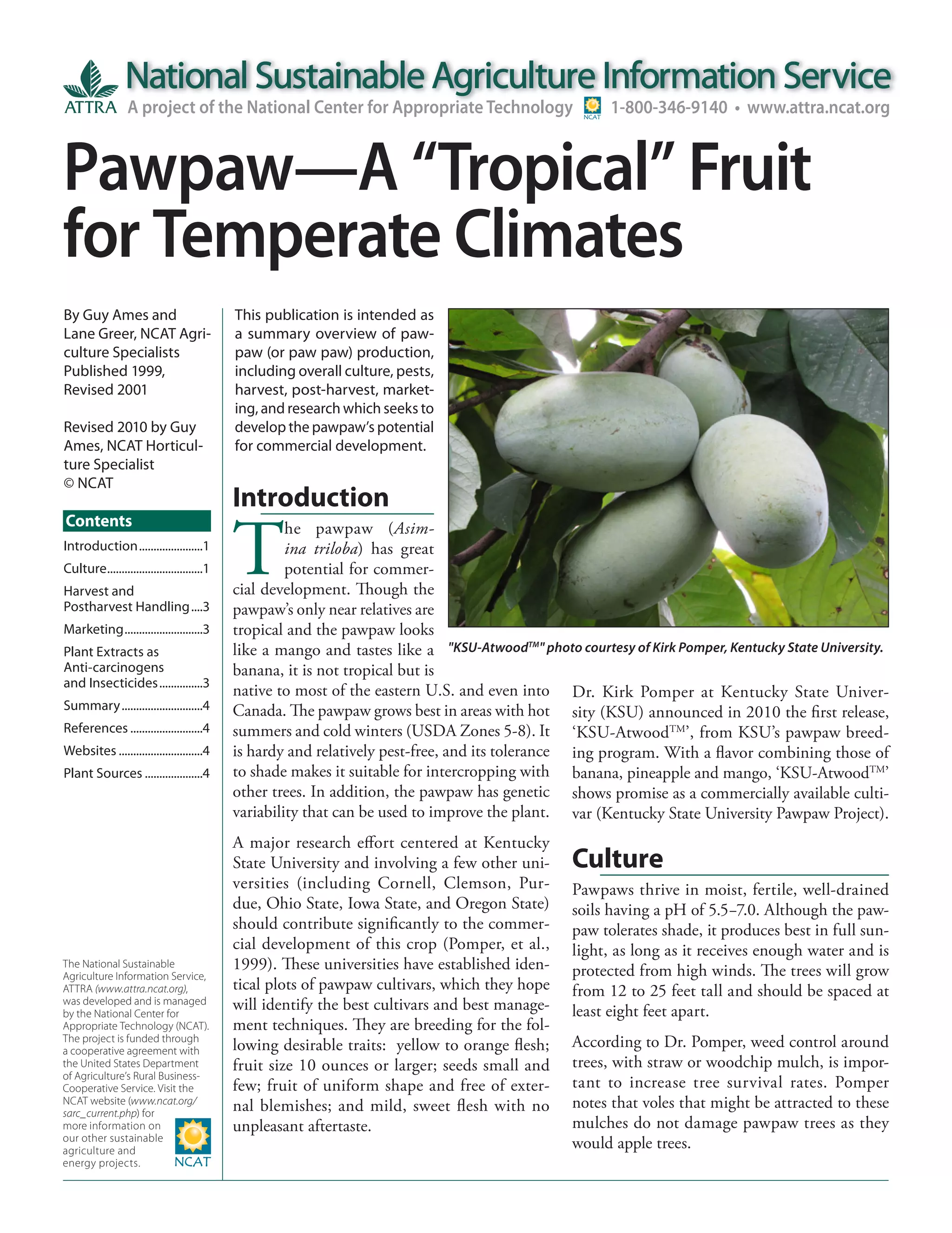 Pawpaw - A "Tropical" Fruit for Temperate Climates | PDF