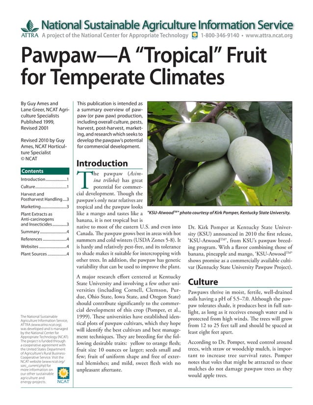 Pawpaw - A "Tropical" Fruit for Temperate Climates | PDF