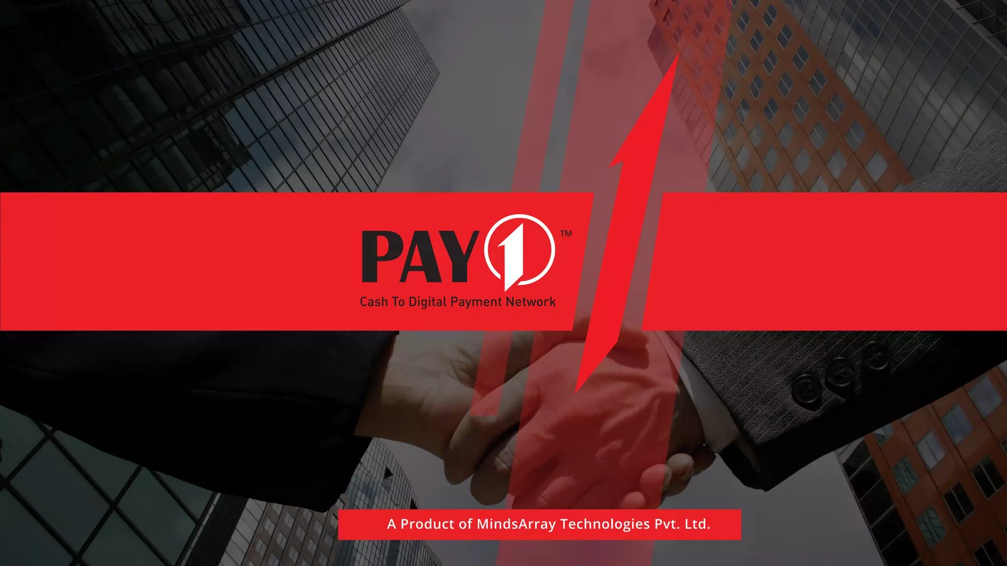 Pay1 Company Overview | PDF