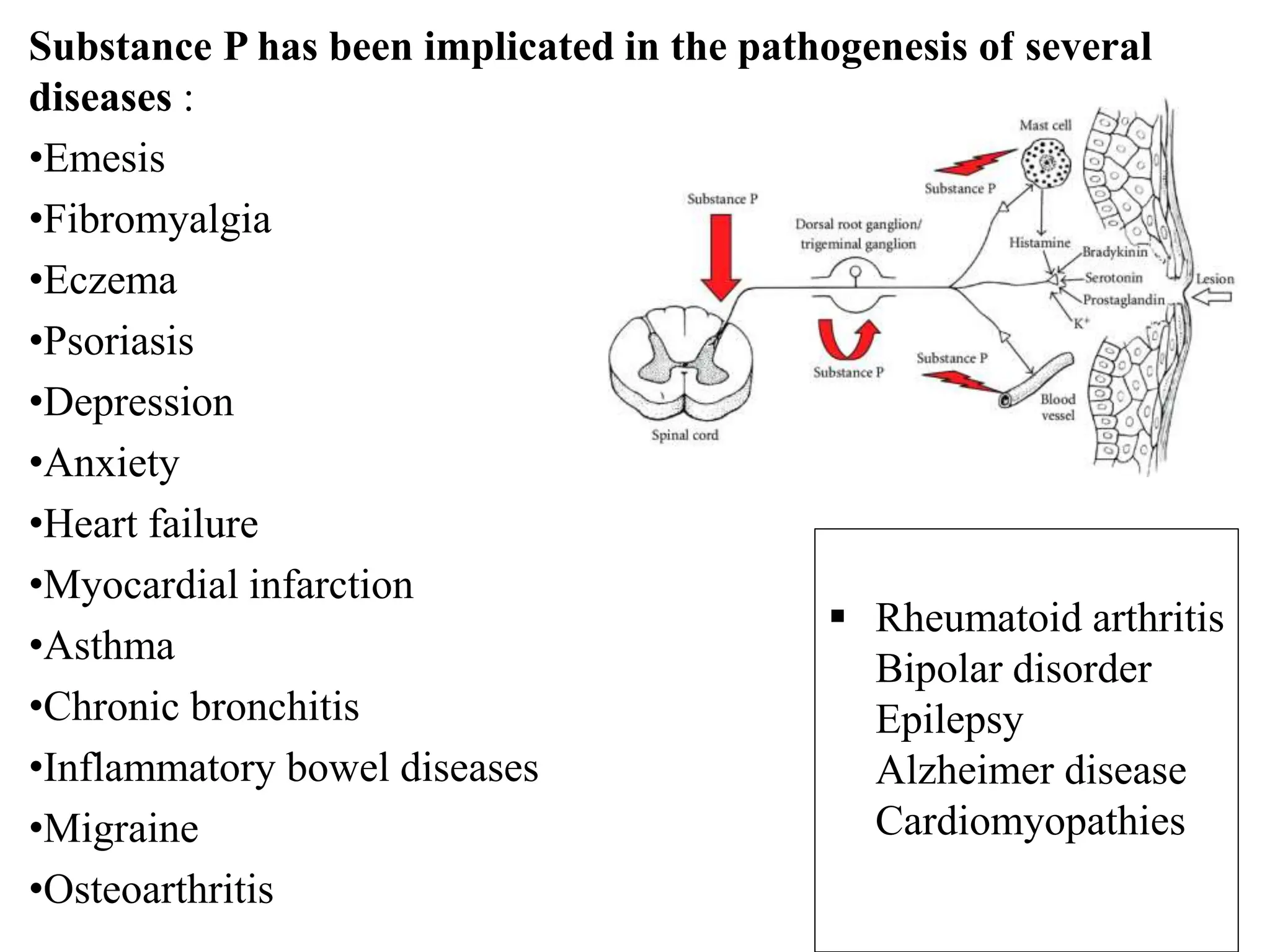 SUBSTANCE P.INFORMATION ABOUT SUBSTANCE P.ppt