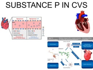 SUBSTANCE P.INFORMATION ABOUT SUBSTANCE P.ppt