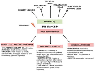 SUBSTANCE P.INFORMATION ABOUT SUBSTANCE P.ppt