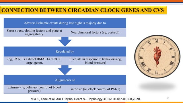 ChronoPharmacology in Body Functioning and in Cardiovascular Diseases ...