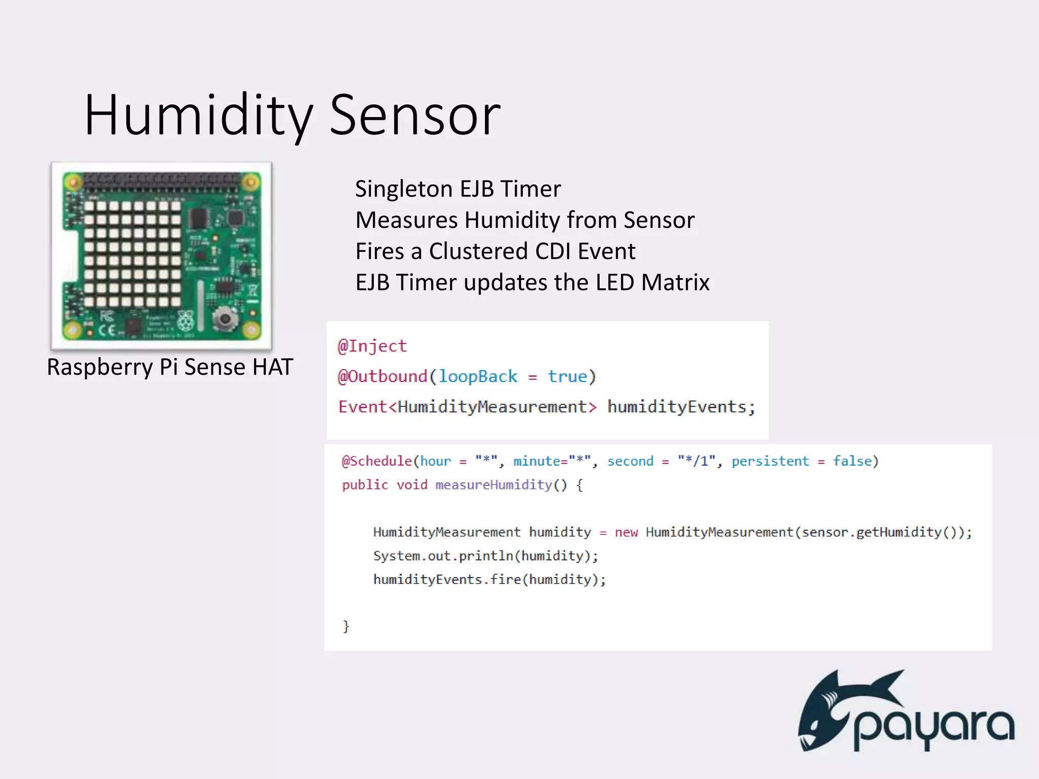Payara Micro from Raspberry Pi to Cloud | PPTX