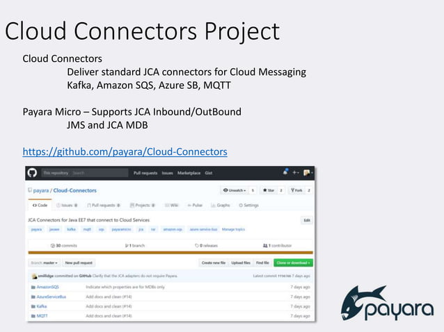 Payara Micro from Raspberry Pi to Cloud | PPTX
